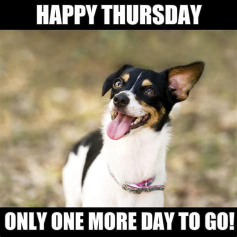 Happy Thursday Meme