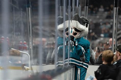 S J Sharkie Named Mascot Of The Year