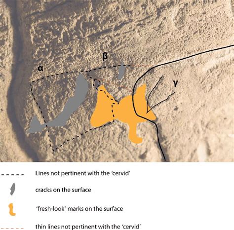 Schematic Interpretational Sketch Of The Tail Area In Panel A