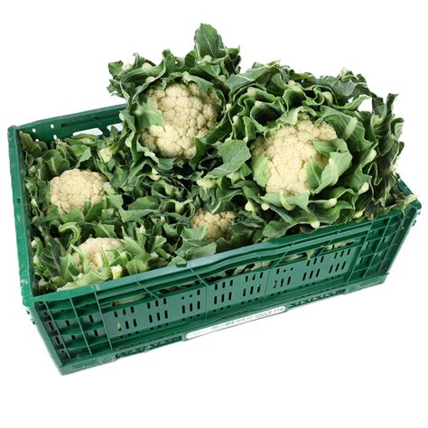 P Smets And Zn Categorieën Bloemkool