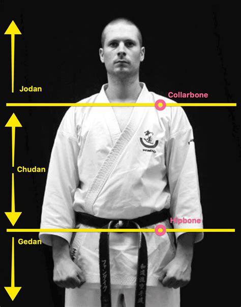 Jodan Uke The Digi Dojo