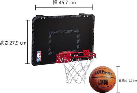 Mini Basketball Hoop Wilson At Declan Sheean Blog