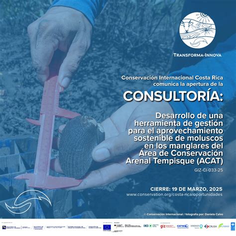 Conservación 📣 Consultoría Disponible Revise Los Requisitos Plazo Y