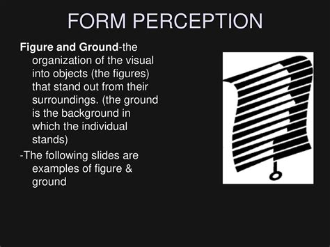 Perception Psychology Example