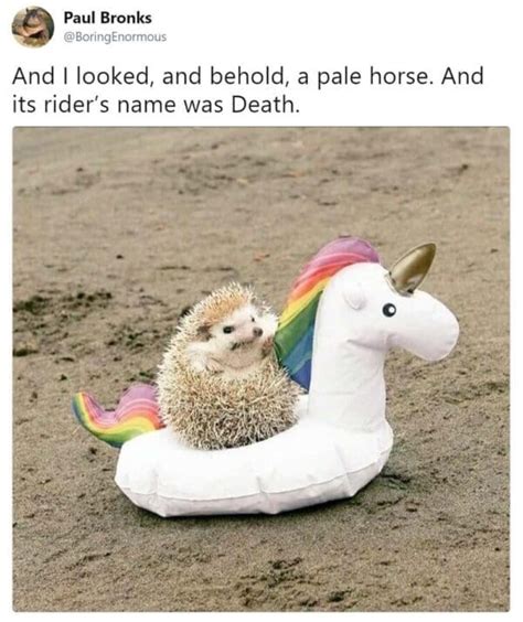 Unicorn Meme Dump 25 Unicorn Memes For National Unicorn Day