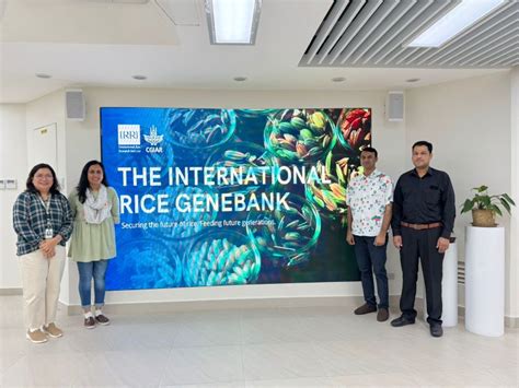 Foodsecurity Speedbreeding Irriphilippine Rizwana Maqbool 19 Comments