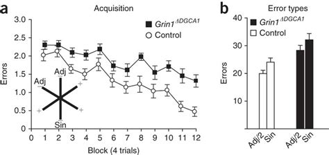 associative long term spatial reference memory on the radial maze task