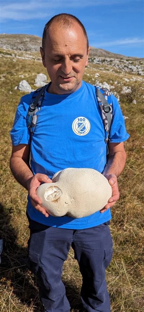 ‘ulovili Puhare Kapitalce Ferata