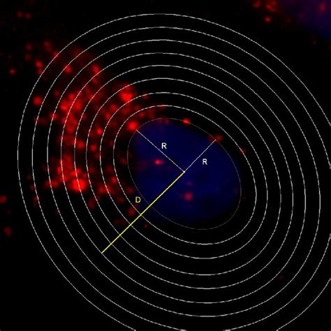 Imagej Quantification Fluorescence Measuring Cell