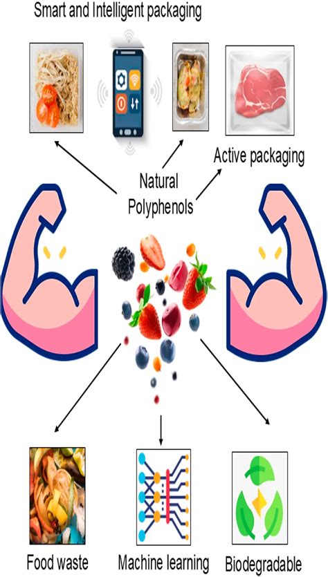 Frontiers Natural Polyphenols For Sustainable Active Smart And