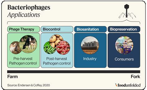 Bacteriophages Transforming Food Safety And Antibiotic Resistance