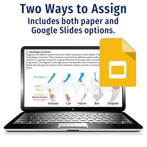 Evolution Evidence Activity Cer Worksheet Flying Colors Science
