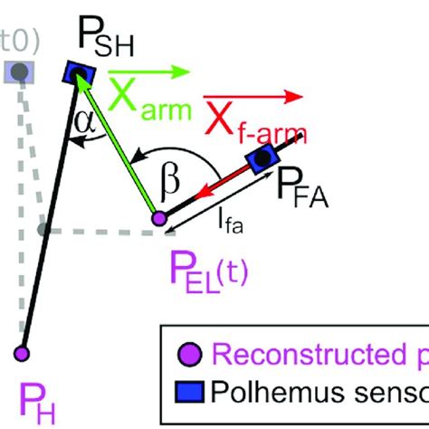 Schematic Representation Projected In Sagittal Plane Of The Shoulder