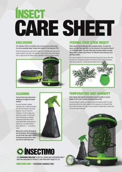 Insectimo Insect Pod Pet Shop Findit Marketplace