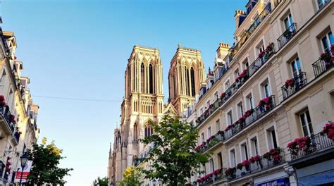 How To Draw A Wolf Head Fierce And Beautiful Tutorial Christine Britton