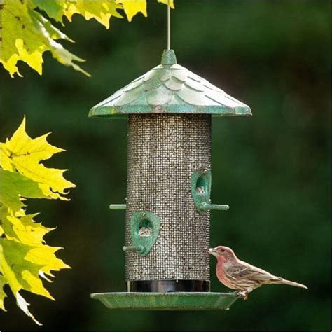 More Birds Website Premium Hummingbird Feeders