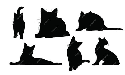 Premium Vector A Black Cat Silhouettes On A White Background