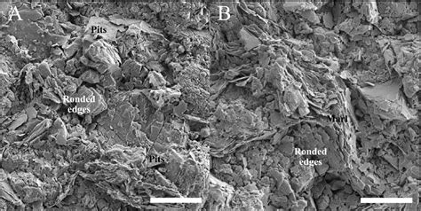Figure 5 From First Evidence Of Palaeo Tethyan Upper Triassic
