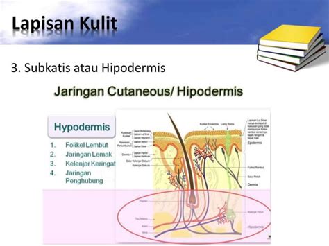 Sistem Integumen Pptx
