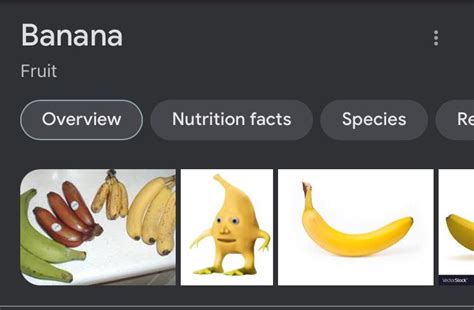 Overview For Xx Underscore Xx