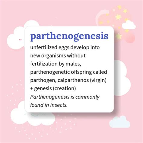 Urban Dictionary Parthenogeneses