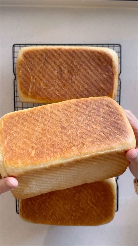 Eisha Marie Eisel Eishaeisel • Instagram Photos And Videos