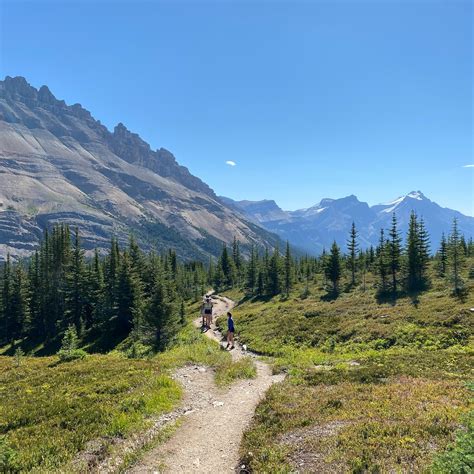 Chisel Creek Classical