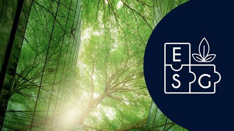 Transforming Esg Challenges Into Opportunities Ocg Oceanic