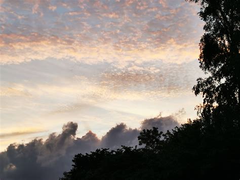 Sven Stratmann Home Facebook