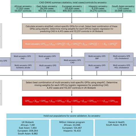 Trait Specific Component Polygenic Score Performance And Download