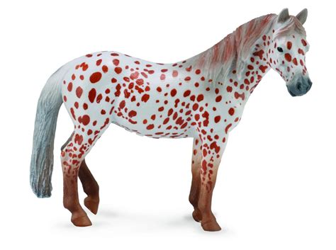 CollectA Horses: CollectA British Spotted Pony Mare – Chestnut Leopard ...