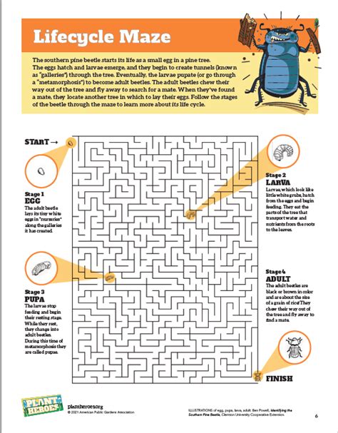 Southern Pine Beetle Activity Book Advanced Apga
