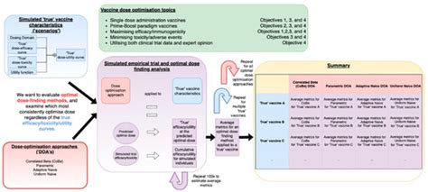Vaccines Free Full Text The Correlated Beta Dose Optimisation