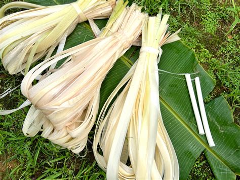 Kijoka Bashofu Banana Cloth Okan Arts