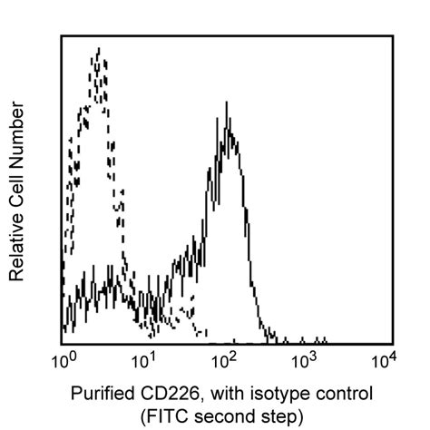 Purified Mouse Anti Human Cd226