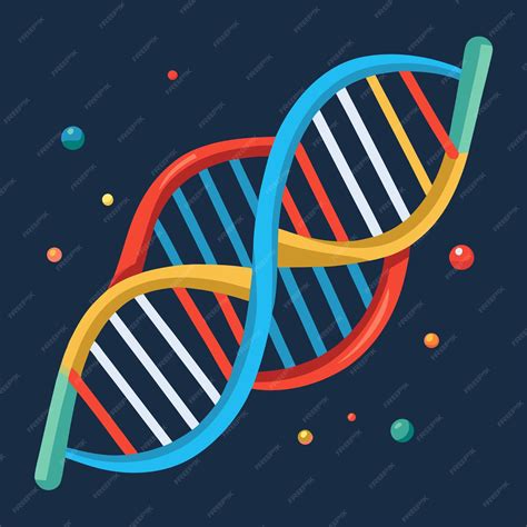 Detailed Vector Illustration Of A Dna Strand With Double Helix