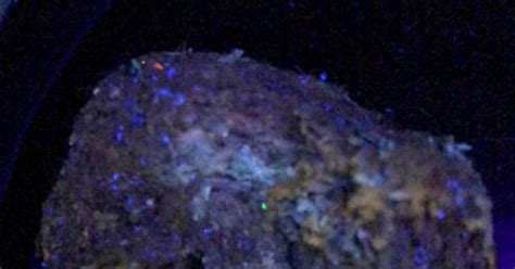 Dirty Secret Of Mysterious ‘tar Balls Washed Up On Sydneys Shores