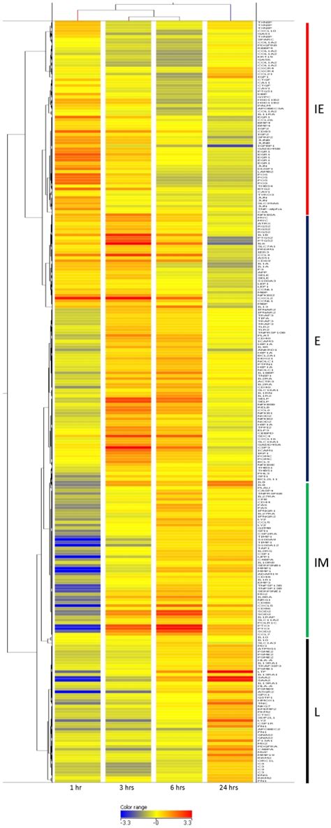 clustering preformed in genespring gx 11 0 agilent uk using the