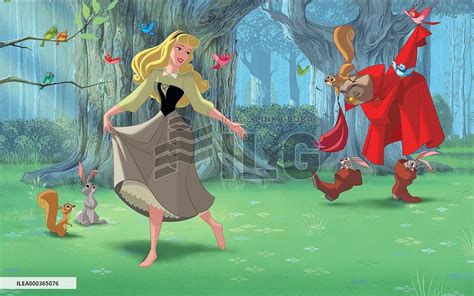 Aurora Sleeping Beauty Forest Aurora Sleeping Beauty Forest