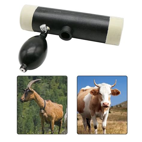 Kit De Recolecci N De Espermas Para Animales De Granja Dispositivo