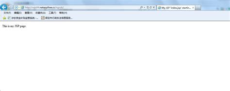 Natapp搭建外网服务器natapp 自建中转站 Csdn博客 Natapp搭建外网服务器natapp 自建中转站 Csdn博客