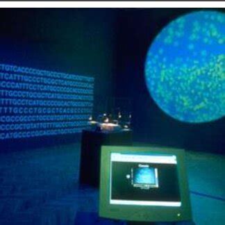 Genesis From Geninfo2html Transgenic Art
