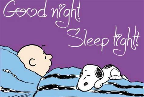 Pin On Good Night Good Night Sleep Tight Snoopy Quotes Snoopy Images