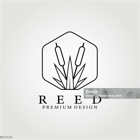 Cattail Symbol Cattails Vector Illustration Design Graphic Template Monoline Concept Stock