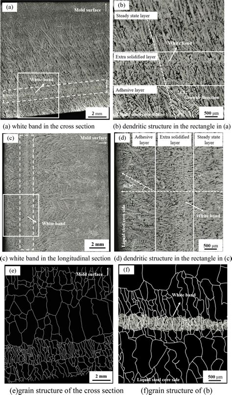Solidification Structure Of The Wide Center Sample At 500 Mm Below The Download Scientific