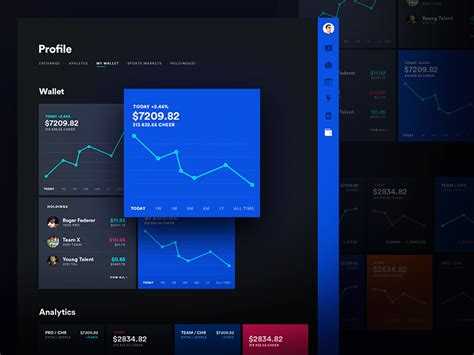 Profile Overview Graphs by Kálmán Magyari on Dribbble
