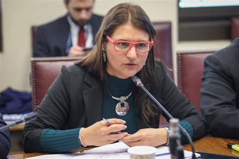 Diputada Sofía Cid Y Cadena Nacional Por Presupuesto “le Pediría Al Presidente Un Poco Más De