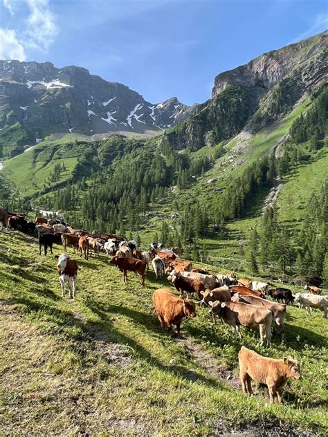 Daniel Oehry Posted On Linkedin