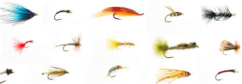 Trout Fly Identification Chart At Terence Fanning Blog