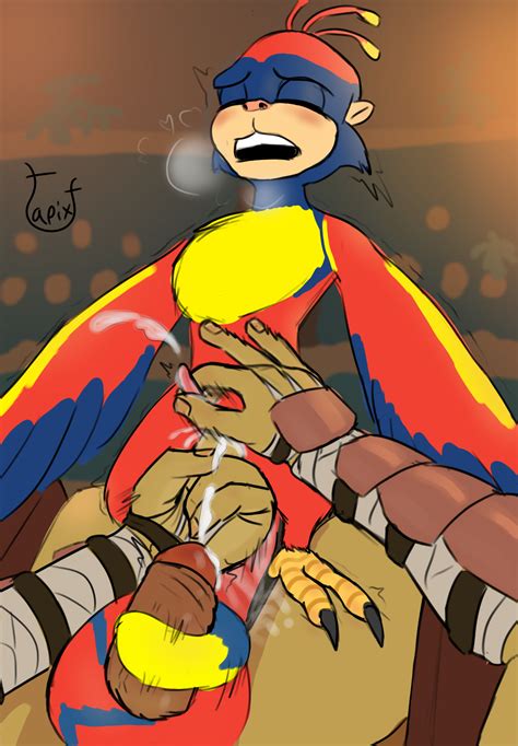 Rule 34 Ambiguous Gender Animal Genitalia Anthro Avian Bird Bodily